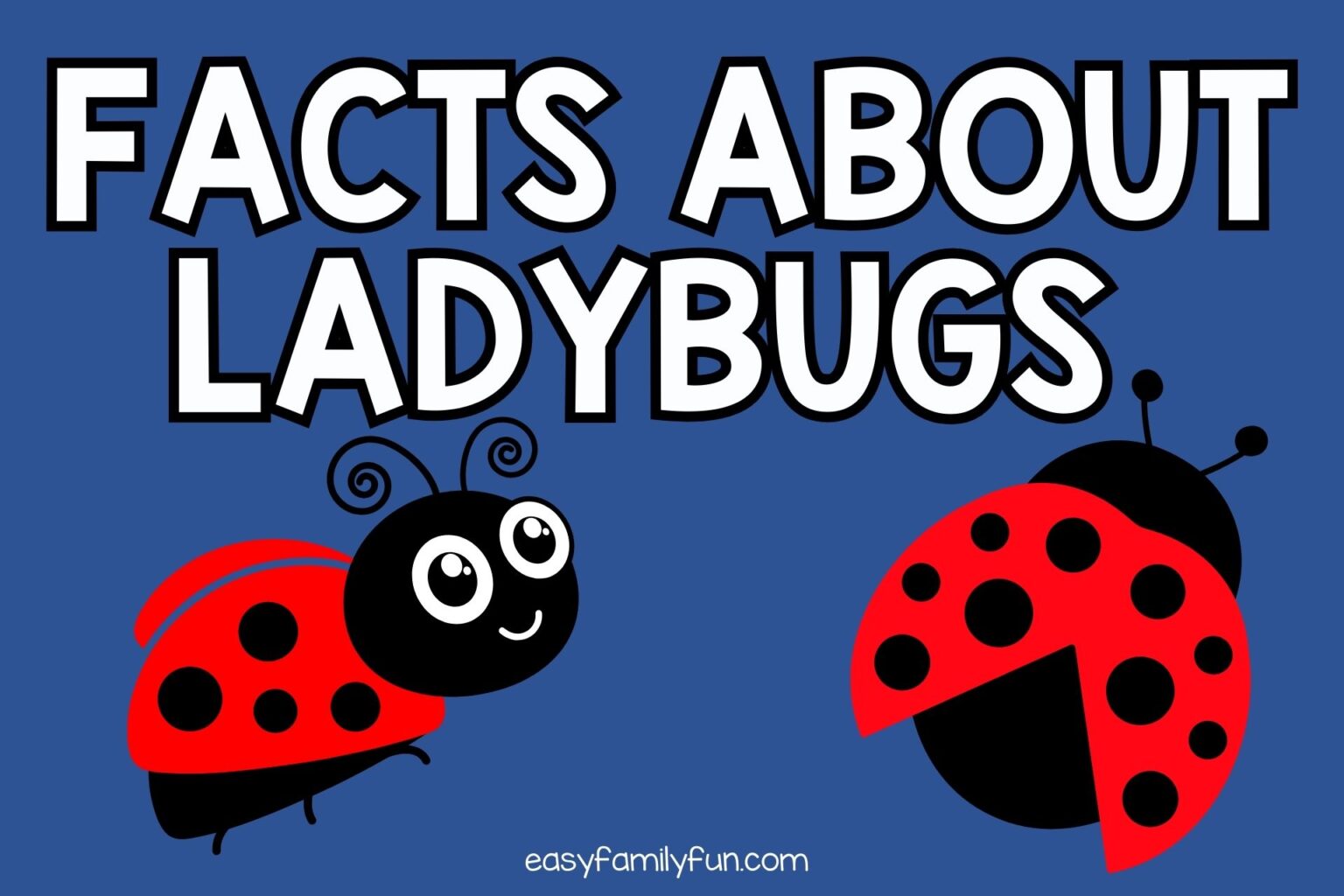 Interesting Facts about Ladybugs [Free Fact Cards] - Easy Family Fun ...