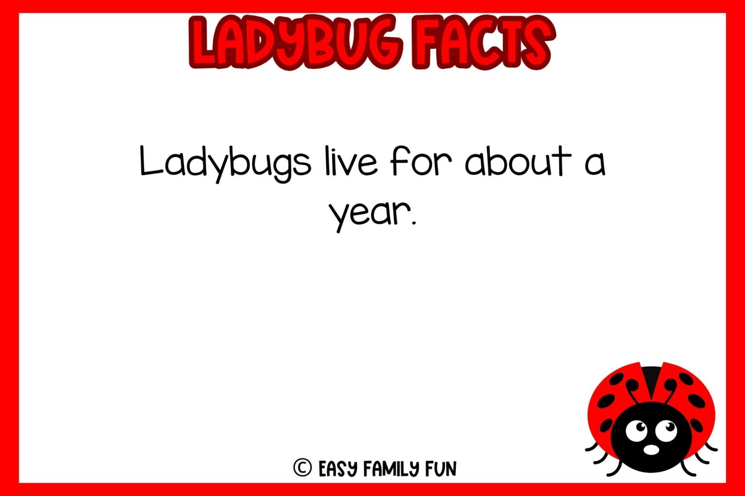Interesting Facts about Ladybugs [Free Fact Cards] - Easy Family Fun ...