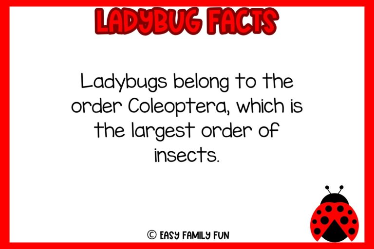 Interesting Facts about Ladybugs [Free Fact Cards] - Easy Family Fun ...