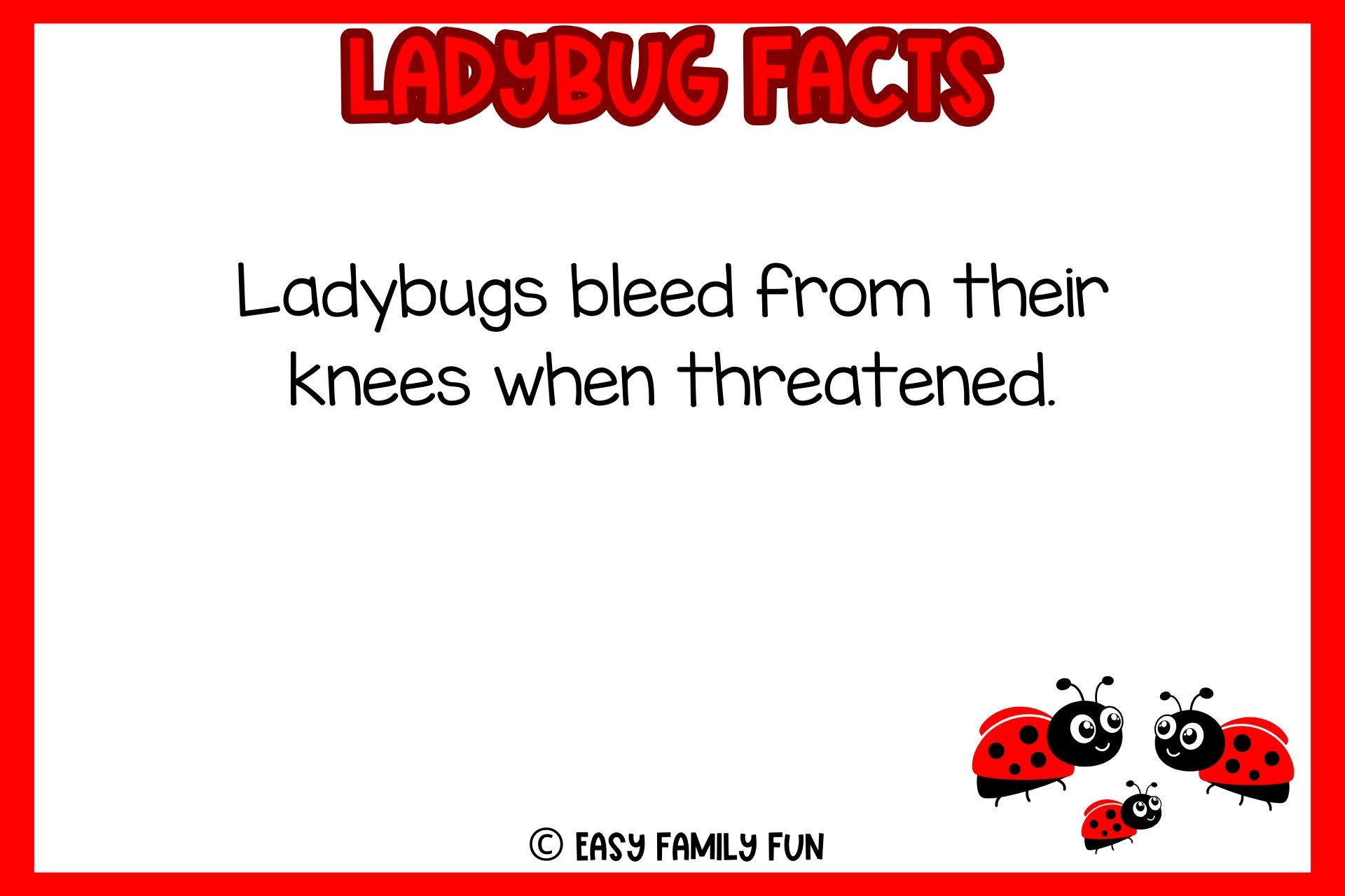 Interesting Facts about Ladybugs [Free Fact Cards] - Easy Family Fun ...
