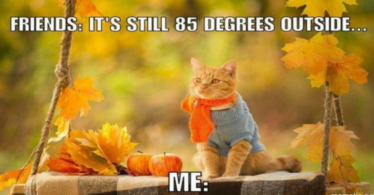 Fall Memes That Will Make You Smile - Easy Family Fun- Games, Trivia ...