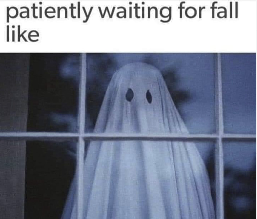 Fall Memes That Will Make You Smile - Easy Family Fun- Print-and-Play ...