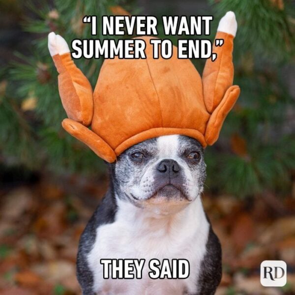 Fall Memes That Will Make You Smile - Easy Family Fun- Games, Trivia ...