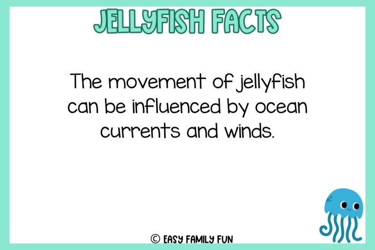 Dive Into These Facts About Jellyfish [Free Fact Cards] - Easy Family ...