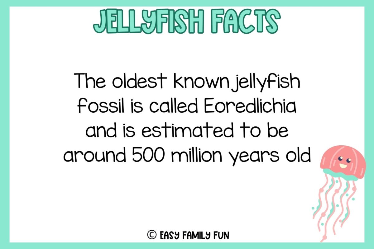 Dive Into These Facts About Jellyfish [Free Fact Cards] - Easy Family ...