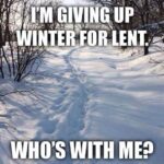 Snow Way! The Ultimate Snow Memes for Some Seriously Frosty Laughs ...