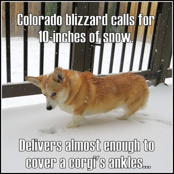 Snow Way! The Ultimate Snow Memes for Some Seriously Frosty Laughs ...