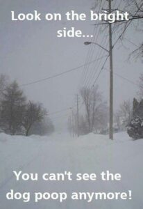 Snow Way! The Ultimate Snow Memes for Some Seriously Frosty Laughs ...