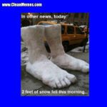 Snow Way! The Ultimate Snow Memes for Some Seriously Frosty Laughs ...
