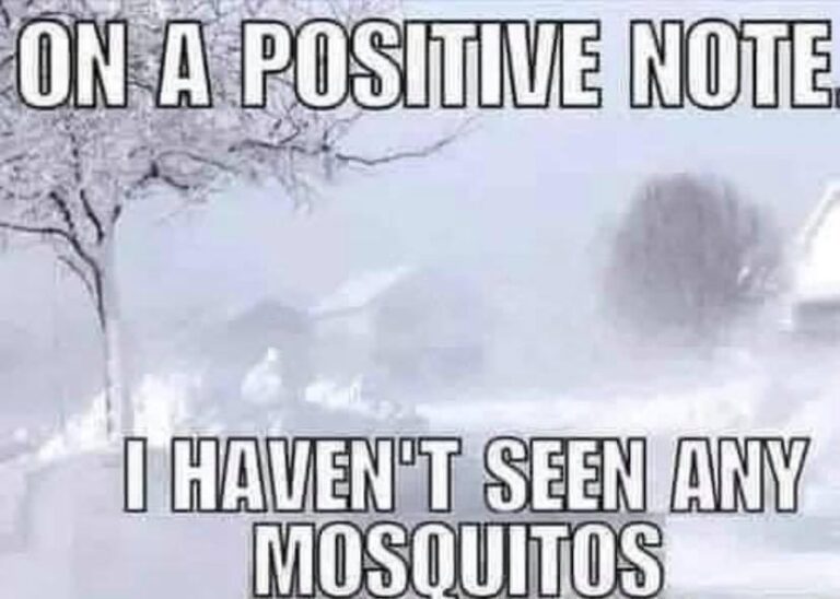 Snow Way! The Ultimate Snow Memes for Some Seriously Frosty Laughs ...