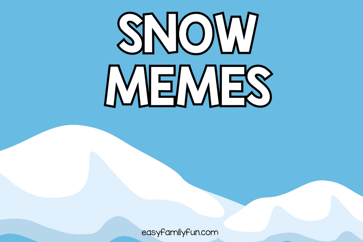 Snow Way! The Ultimate Snow Memes for Some Seriously Frosty Laughs ...