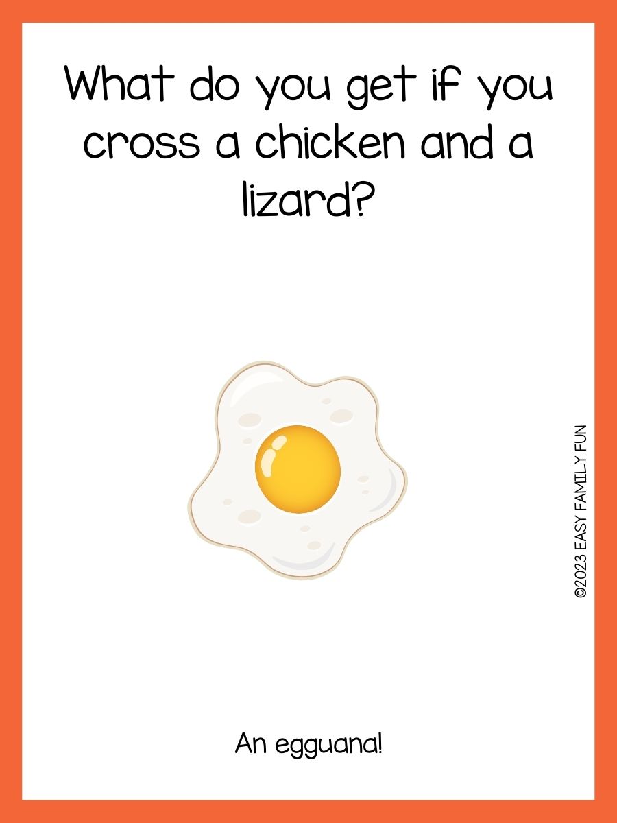 Best Egg Jokes That Crack You Up!