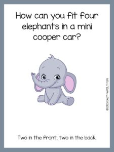Best Elephant Jokes That Offer Gigantic Laughs and Fun