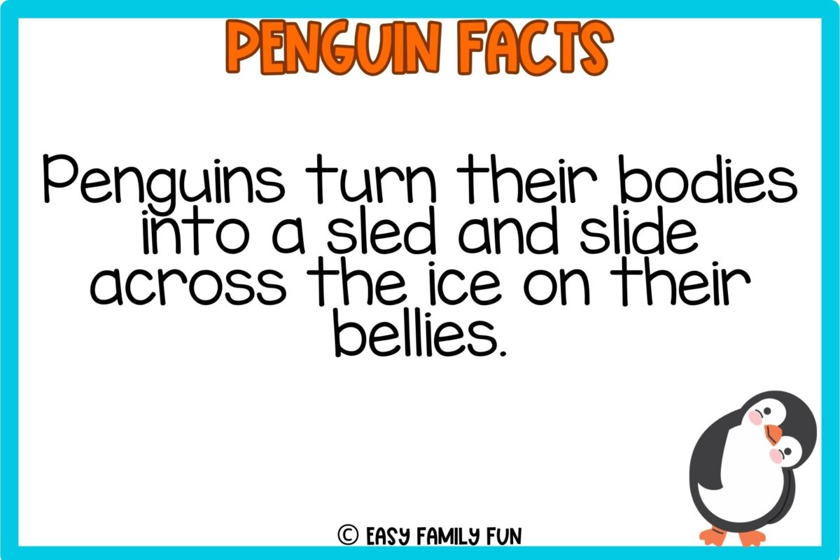 Penguin Facts You Will Love - Easy Family Fun- Print-and-Play Family ...