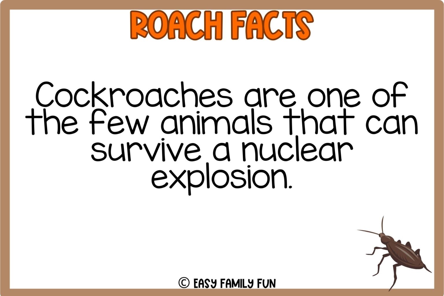 30+ Facts About Roaches - Easy Family Fun- Games, Trivia, and Jokes