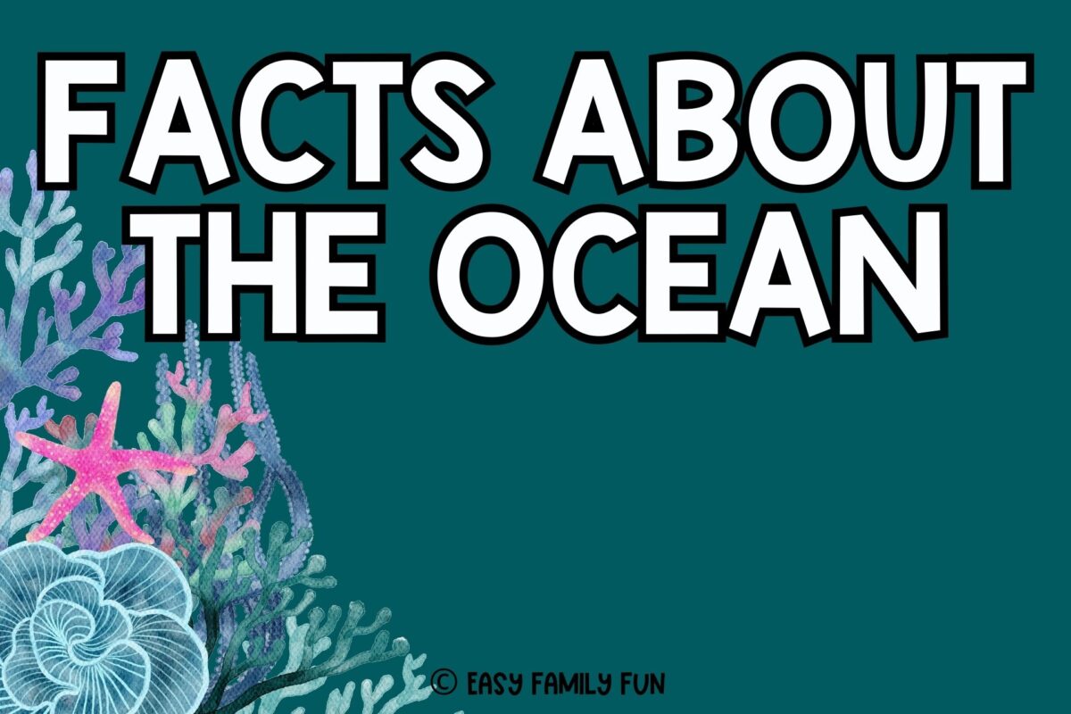 Facts About The Ocean - Easy Family Fun- Games, Trivia, and Jokes