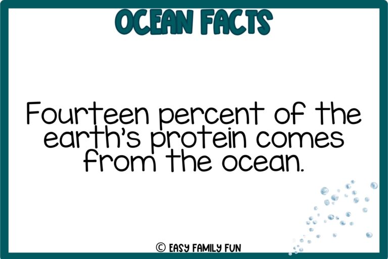 Facts About The Ocean - Easy Family Fun- Games, Trivia, and Jokes