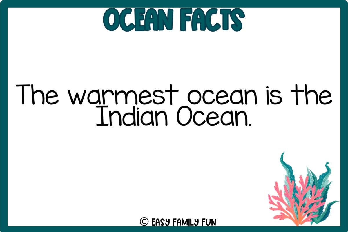 Facts About The Ocean - Easy Family Fun- Games, Trivia, and Jokes