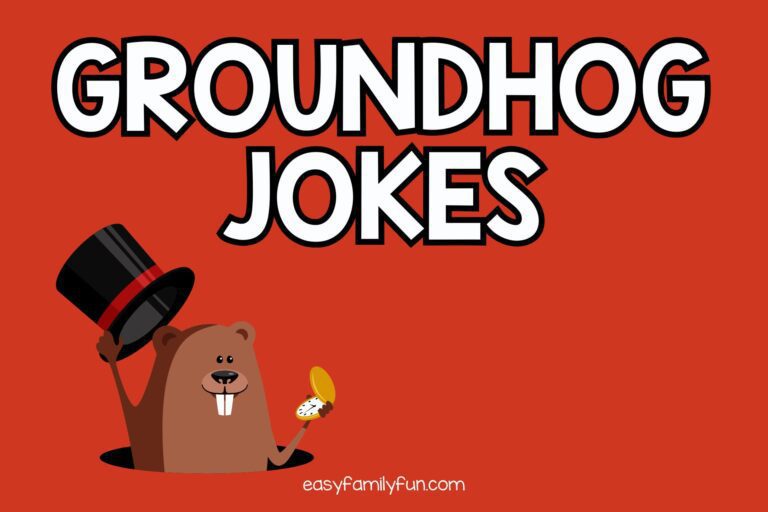 Groundhog Jokes - Easy Family Fun- Games, Trivia, and Jokes