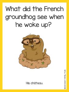 39 Best Groundhog Jokes That Make You Giggle