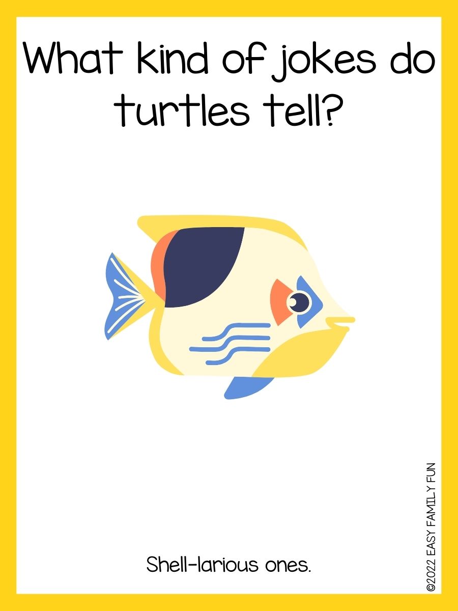 116 Best Sea Jokes That Make Waves of Laughs