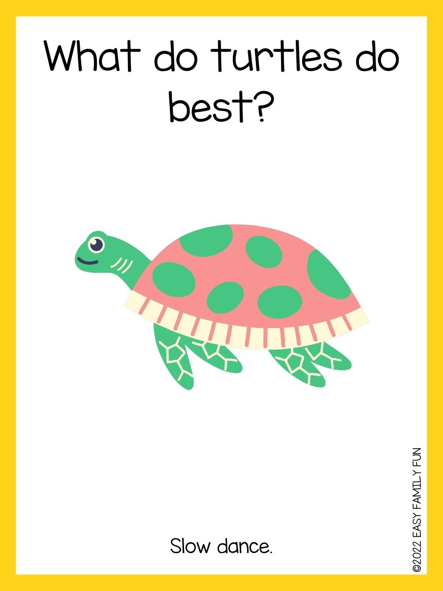 116 Best Sea Jokes That Make Waves of Laughs