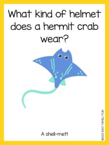 116 Best Sea Jokes That Make Waves of Laughs