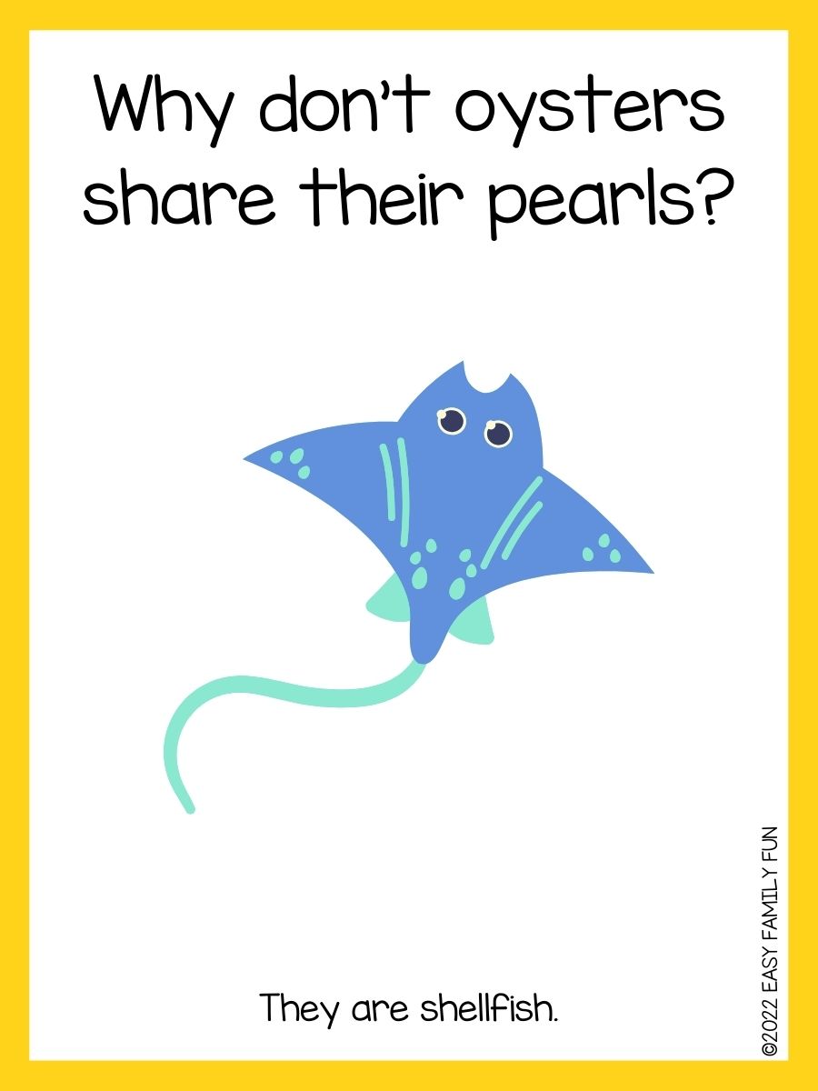 116 Best Sea Jokes That Make Waves of Laughs