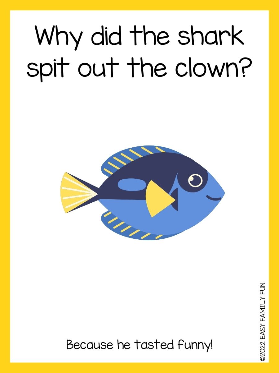 116 Best Sea Jokes That Make Waves of Laughs