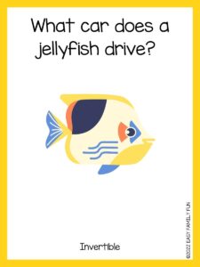 116 Best Sea Jokes That Make Waves of Laughs