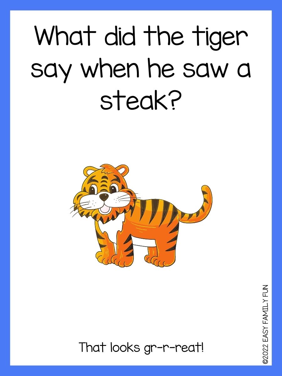 71 Hilarious Tiger Jokes That Unleash the Roar of Laughs