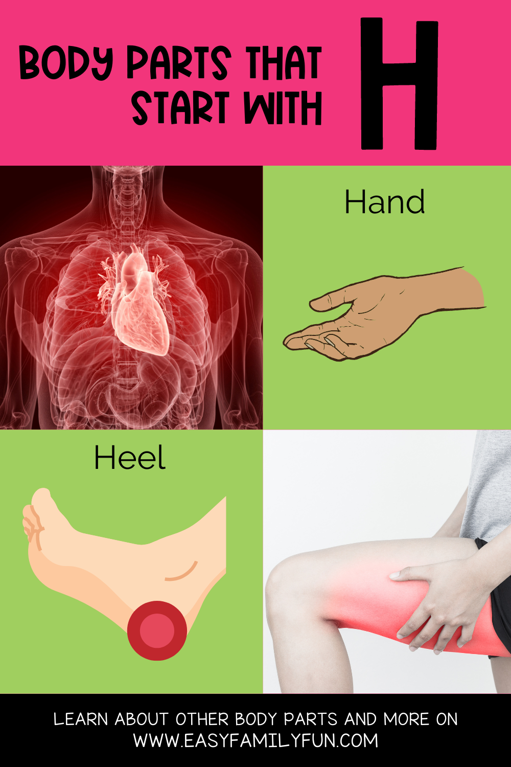 Body Parts that Start with H - Easy Family Fun- Games, Trivia, and Jokes