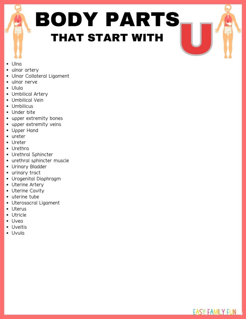 Body Parts that Start with U - Easy Family Fun- Print-and-Play Family ...