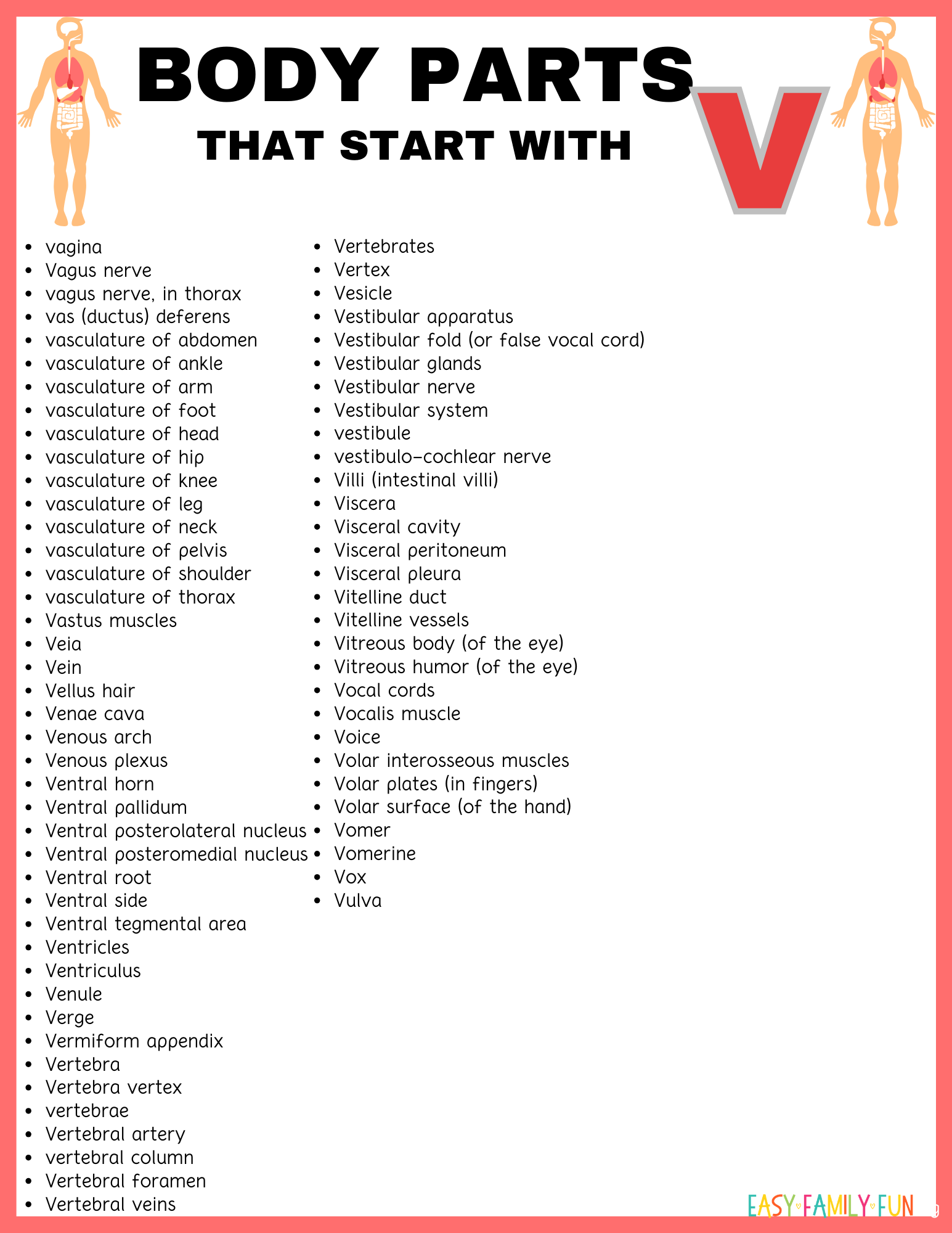Body Parts That Start With V - Easy Family Fun- Games, Trivia, and Jokes