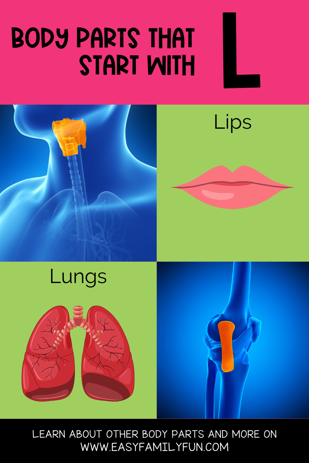 Exploring Body Parts That Start With L - Easy Family Fun- Print-and ...
