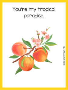 173 Fruitastic Fruit Puns - Easy Family Fun- Print-and-Play Family Fun Hub