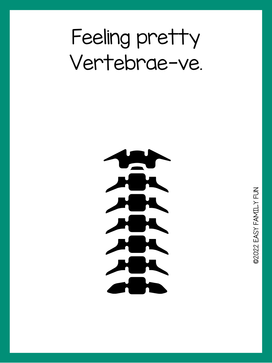 66 Funny Bone Puns - Easy Family Fun- Games, Trivia, and Jokes